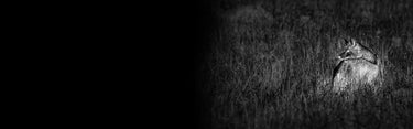 Wraith Mini Thermal Riflescope - Thermal Scope