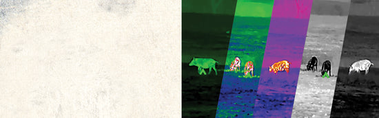 Wraith Mini Thermal Riflescope - Thermal Scope